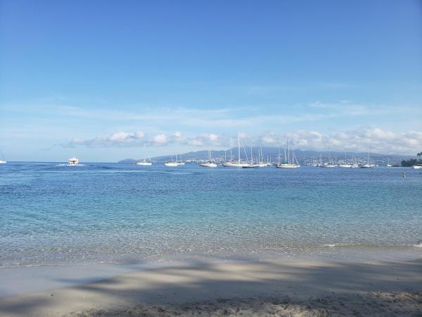 Grand Studio Les Pieds Dans L'eau Aux 3 îLets - Les Anses-d'Arlet