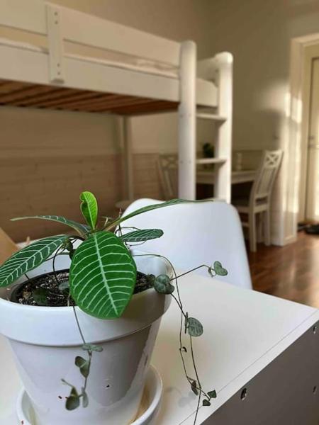 Entire Flat Located 2km From Center, Free Parking - Tampere