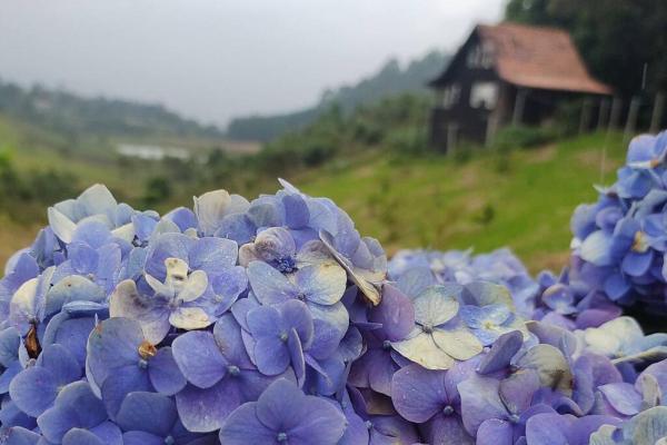 Privacidade, Conforto, Aconchego, Simplicidade. - Santa Catarina (estado)