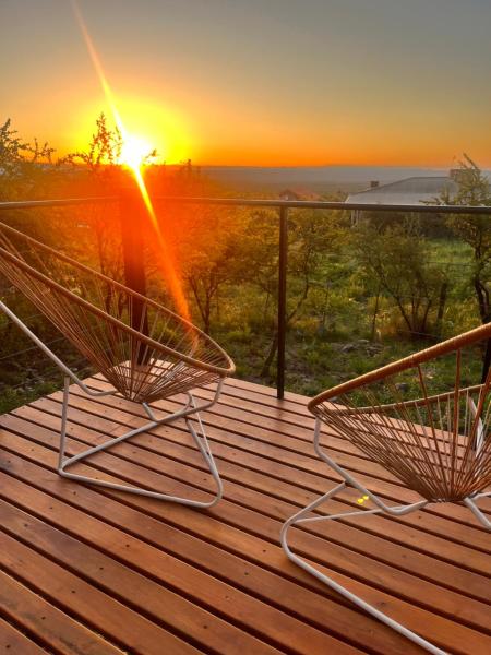 Flor Silvestre - Cordoba