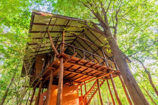 Kaala Kalaththewa Luxury Eco Resort - Sri Lanka