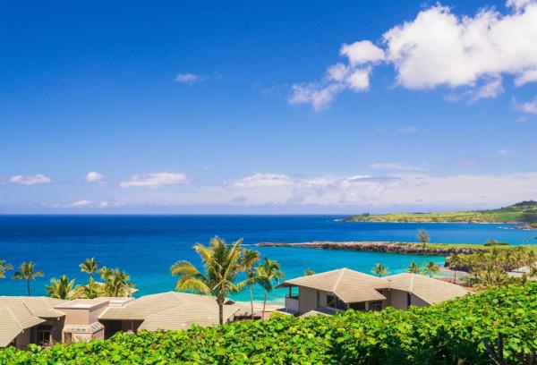 2914 Ridge - Kapalua, HI