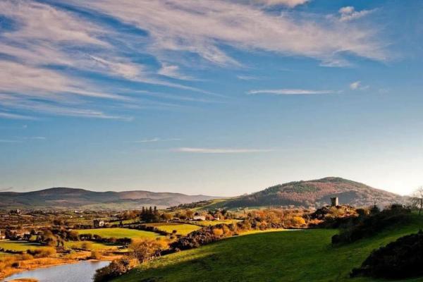 Number Twelve - Dundalk