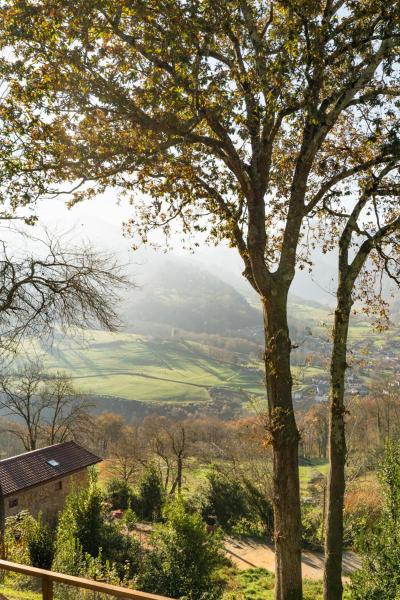 Apartamentos Montes Vindios - Cangas de Onís
