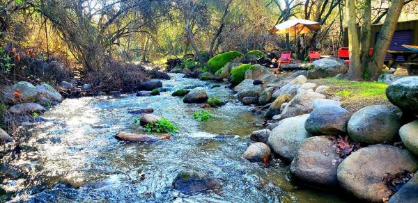 Magical River House ! 10 Min To Snp Park Entrance - Sequoia National Park
