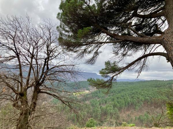 Chambres D'hôte Chez Antoine - Lozère