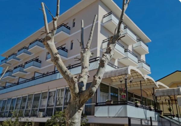 Hotel Kursaal - Bellaria - Igea Marina