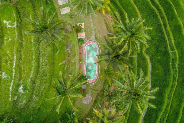 Pesona Bali Ecolodge By Agata - 峇厘島