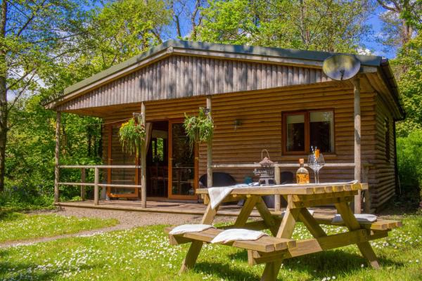Fiddlers Green Log Cabin Tenby - Wales