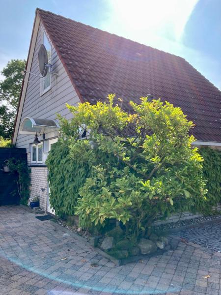Gudrun 5 Pers Equipped House With Sauna. Dogs Are Welcome! - Frisia