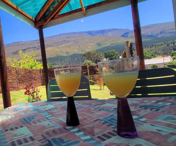 The Dreamcatcher's View - South Africa