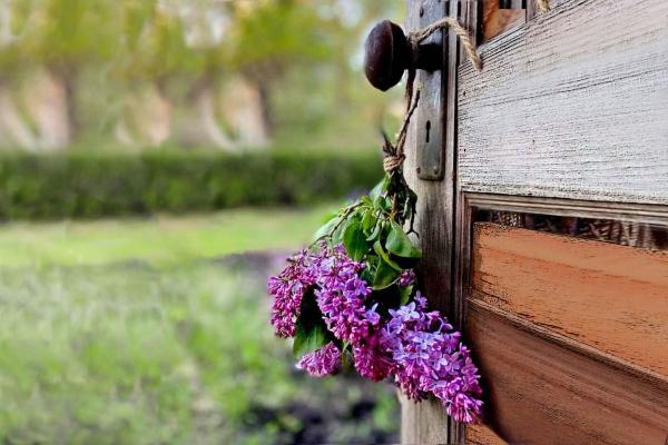 Lillac Cottage - Marche