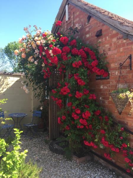 Rose Cottage - West Midlands