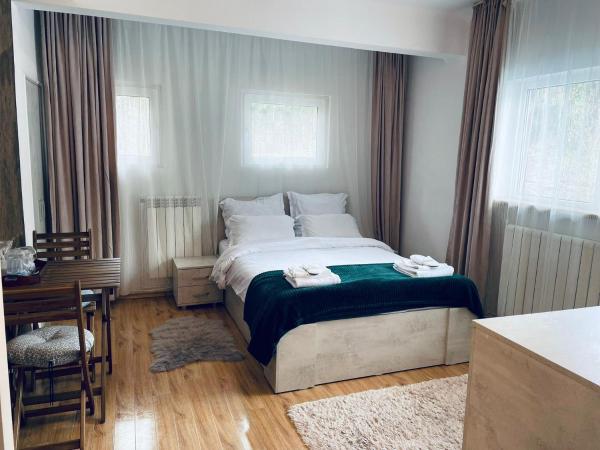 Studio Poema Ultracentral Sinaia - Sinaia