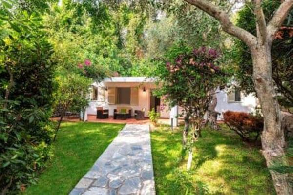 Ischia-forio-punta Caruso-la Grille Du Coq-villa 2 Il Prezzo Della Villa è Riferito All'intero Alloggio Con Il Limite Delle Persone Previste N 4 - Lacco Ameno