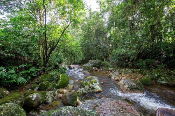 Retiro ÁGuas Encantadas: Cachoeira E ÁGuas Termais - Santo Amaro da Imperatriz