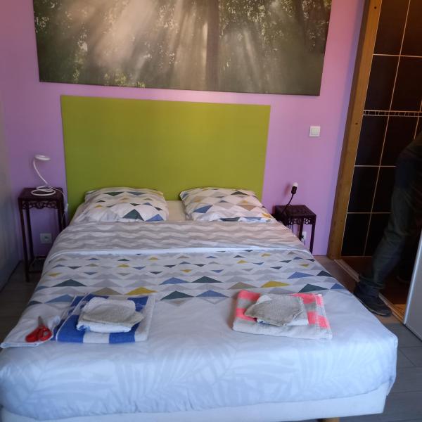 Petit Studio Parmi Les Pins Et Les Cypres - Cassis