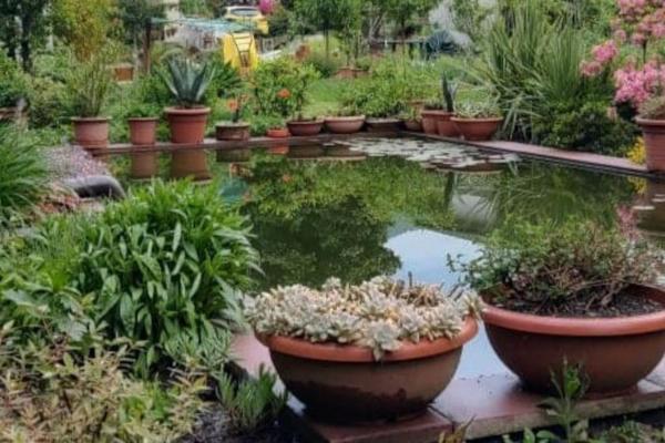 B&b Vegan La Mucca Felice - Grazioso Appartamento Nel Verde - Lombardie