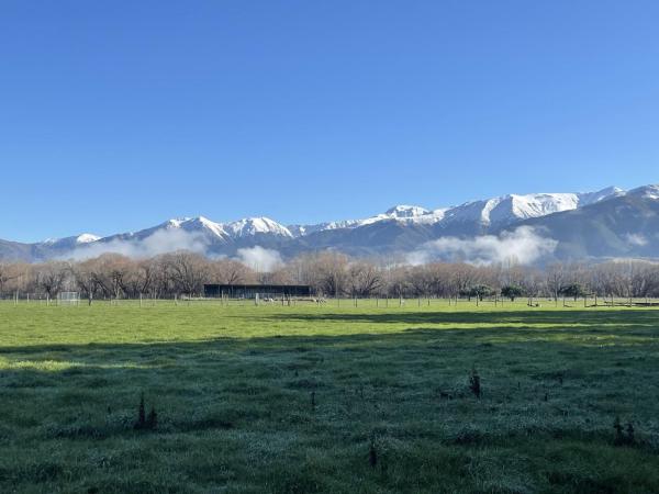 Birdsong Alley Bed And Breakfast - Hanmer Springs