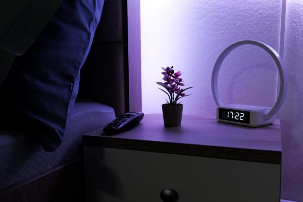 Transylvanian Hideaway Apartment - Sibiu