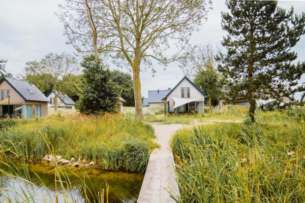 Ridderstee Ouddorp Duin - Netherlands