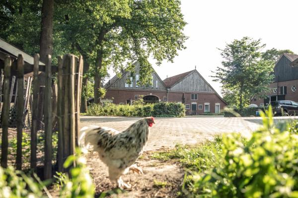 Erfgoed Bossem - Overijssel