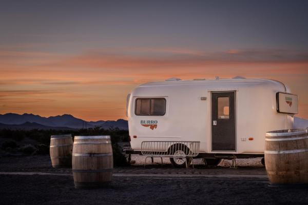 Tarantula Ranch Campground & Vineyard Near Death Valley National Park - Nevada