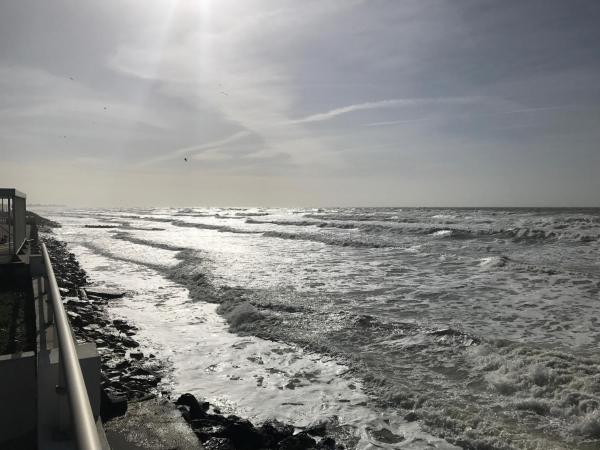 Petale De Rose, Dunes 3 - Stella Plage