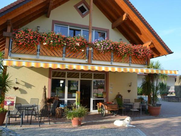 Vakantiewoning In Zwarte Woud - Breisach
