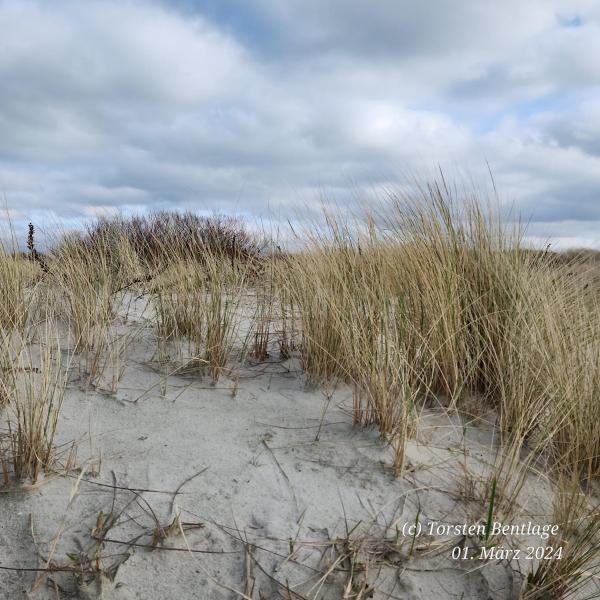 Ferienwohnung Sielblick Dornumersiel - Hundefreundlich - Langeoog