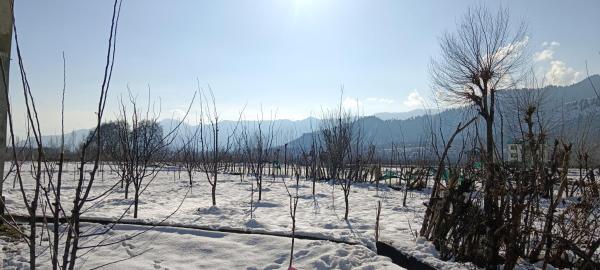 Apple Garden View And Restaurant - Pahalgam