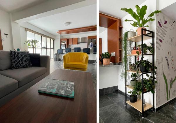 Great Apartment In The Heart Of Coyoacan - Mexico City