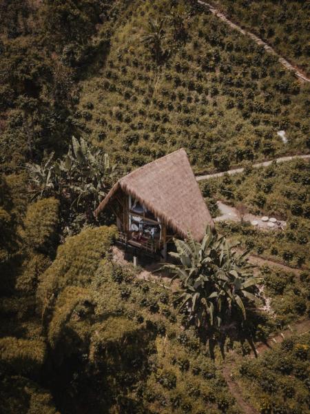 Attraversiamo Bamboo House - Manizales