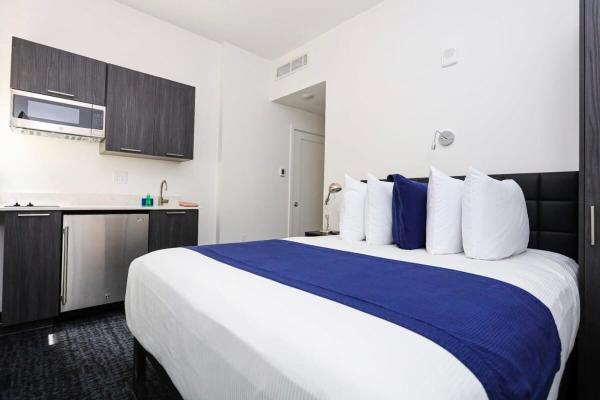 Modern Studio In Historic Boston - Unit #303 - Arlington, MA