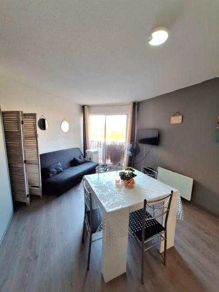 Studio Pour 4 Personnes Proche Du Port Et Des Plages - Sète