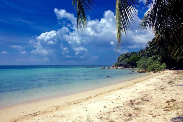 The Green Palm - Ko Pha Ngan