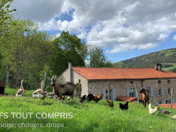 Gîte Chaleureux Avec Cheminée, Espace Jeux Et Animaux, Proche Nature Et Activités Familiales - Fr-1-496-315 - Ambert