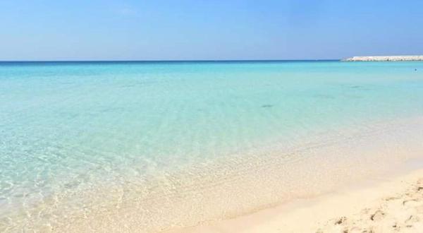 Il Maestrale - Campomarino