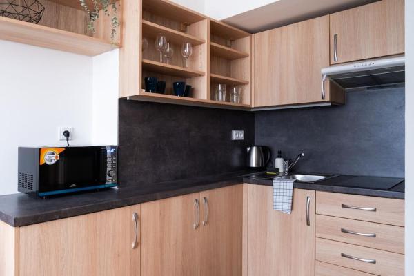 Studio Apartment In Brno-center - Brno