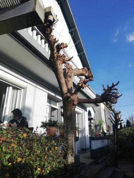Chambre Avec Douche - Lourdes