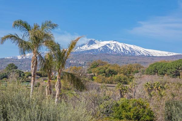 Il Comandante - Milo