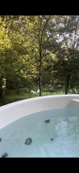 La Canopée Des Arbres, Anna - Hainaut
