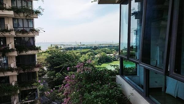 Forestcity浪漫蜜月07 - Kukup