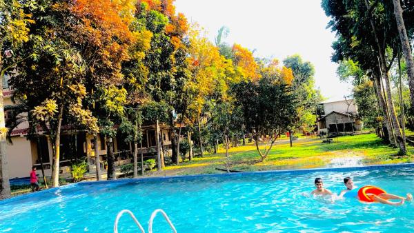 Chitwan Forest Resort , Chitwan National Park - Nepal