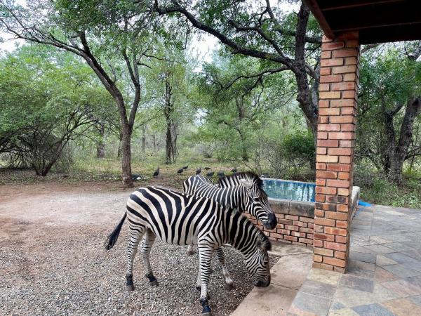 Soenie Kruger Safari - Komatipoort