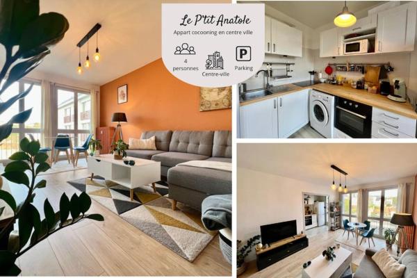 Le P'tit Anatole - Joli T2 Avec Parking - Poitiers