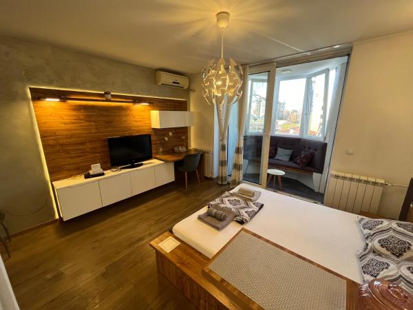 Hedonic Studio - Belgrade