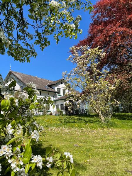 Ferienwohnung Moderswarft - Friedrichstadt