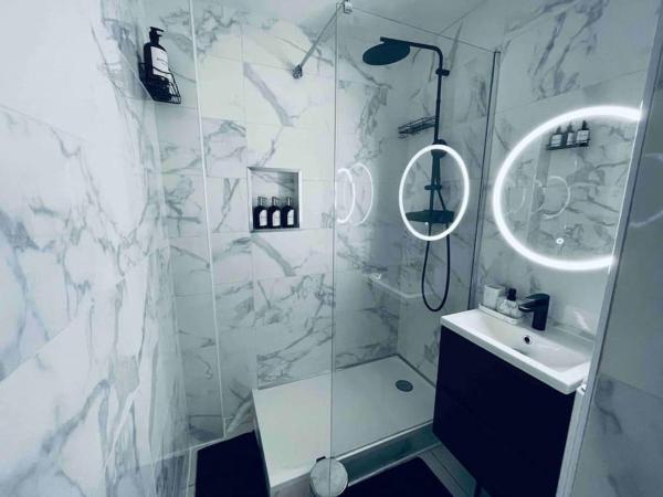 Superbe Duplex Cosy - Reims