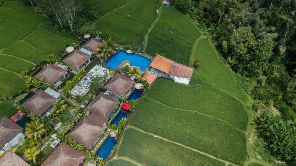 Tanta Escape Ubud Yoga & Healing - Bangli